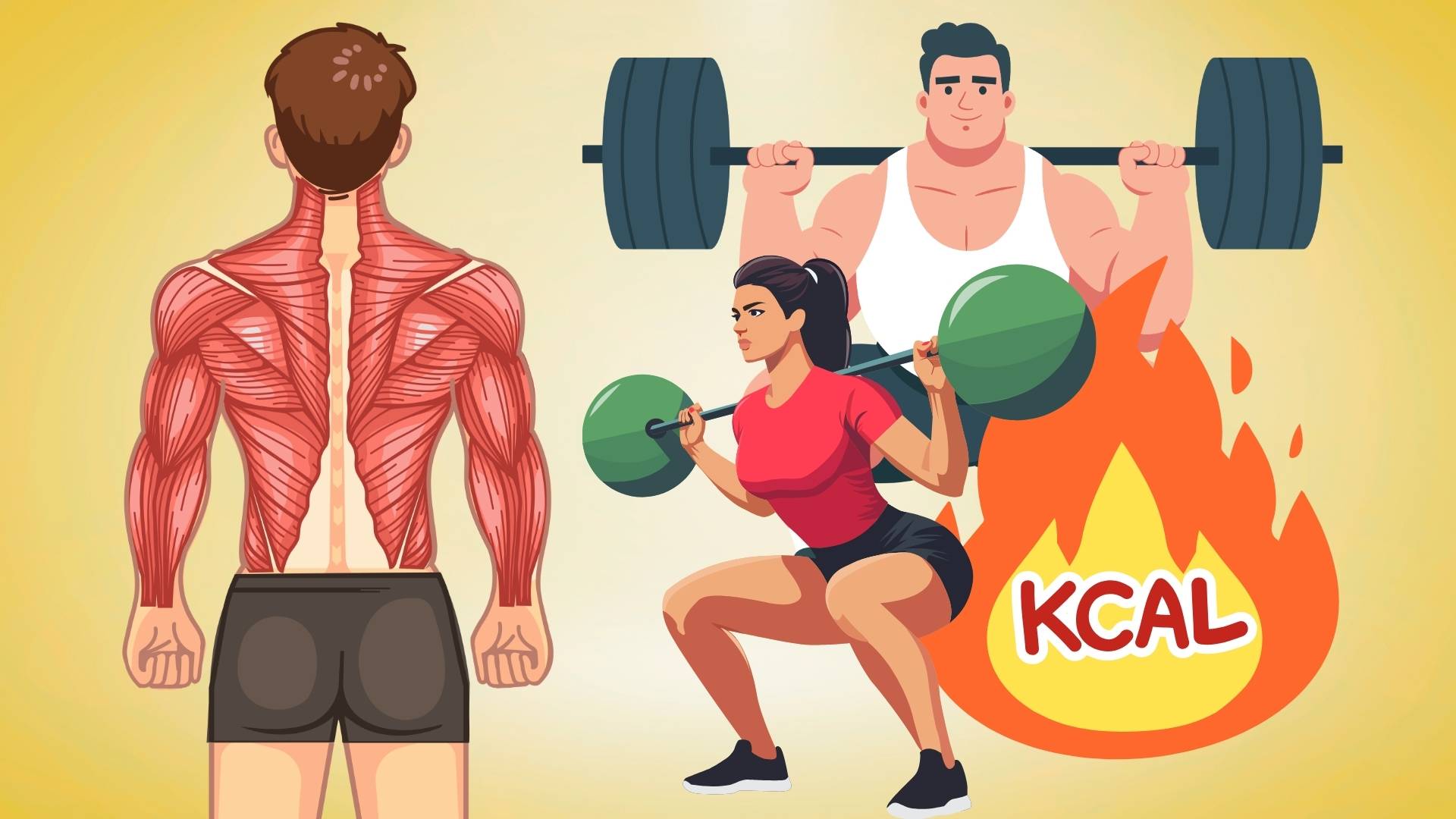 5 lợi ích của squat đối với sức khỏe và vận động hằng ngày