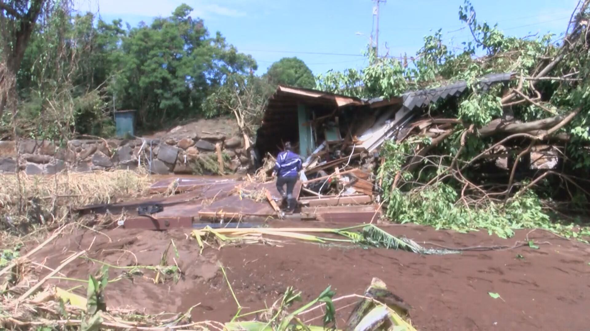 Health officials caution public about leptospirosis risk after flooding