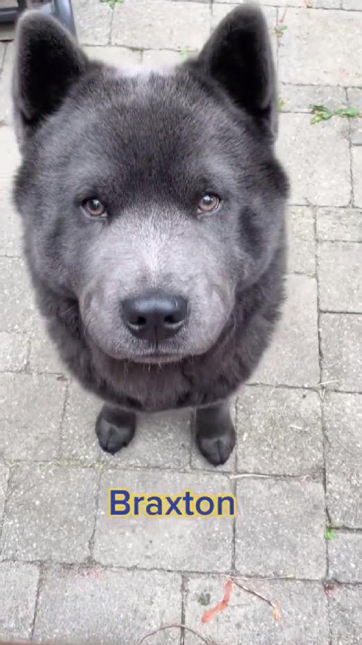 This adorable dog has strong opinions about personal space