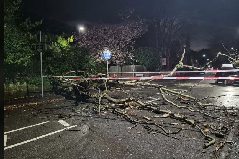 Lucky escape for Birmingham drivers as trees fall in heavy winds