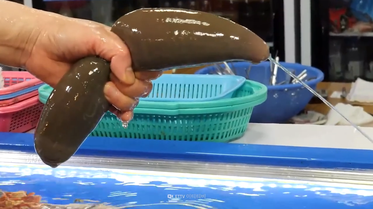 Watch what happens when animal bodies evolve to look like human private ...