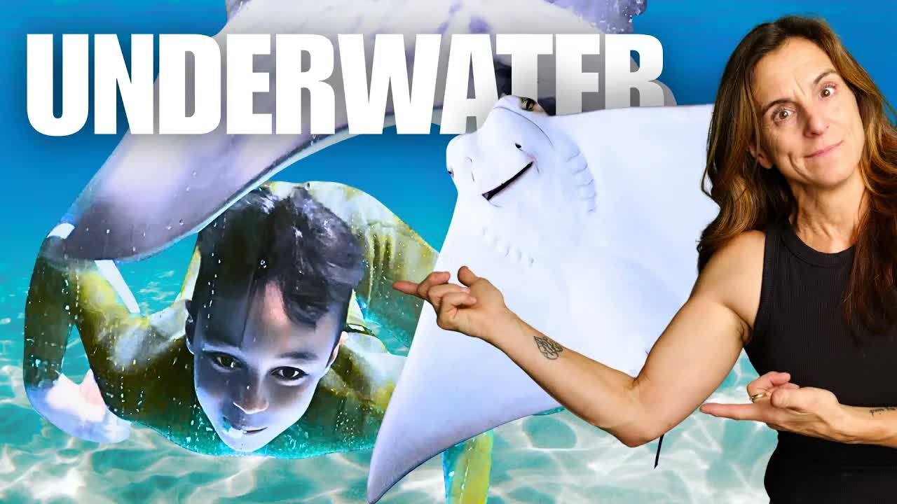 The first dive with stingrays - what changed underwater