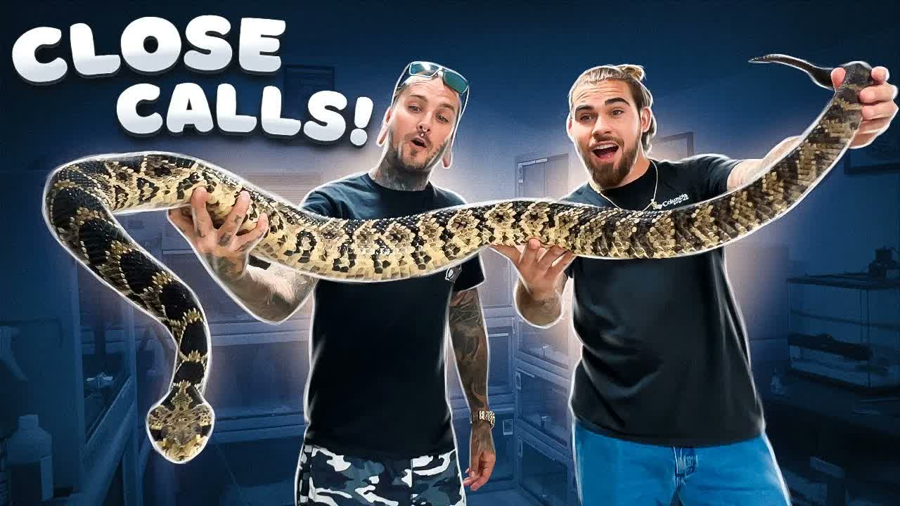 The moment the snake reacted - everything changed fast