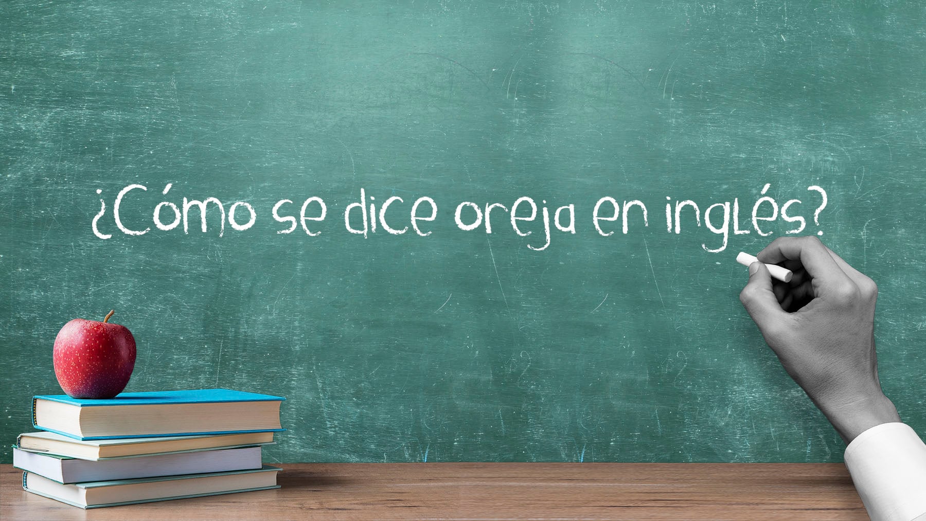 ¿Cómo se dice oreja en inglés?