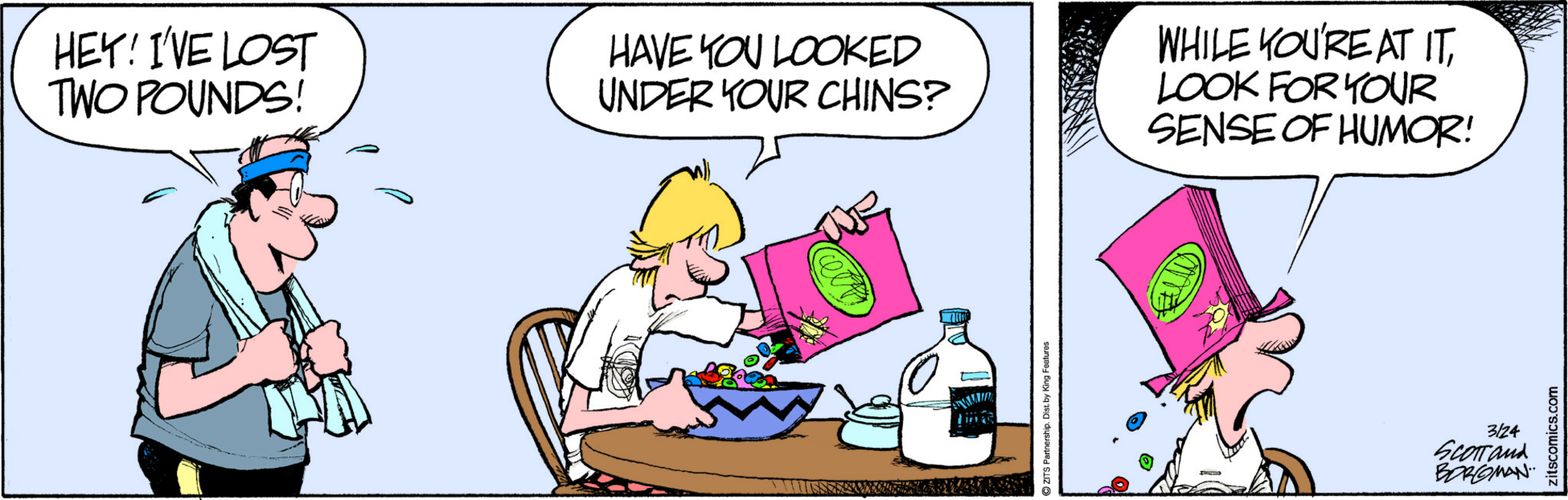 Zits by Jerry Scott and Jim Borgman