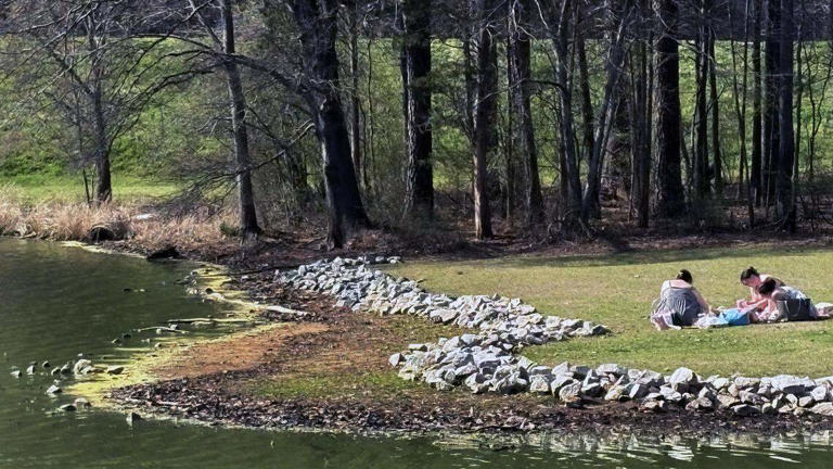 NC's pollen season is starting to wind down. Here's what to know