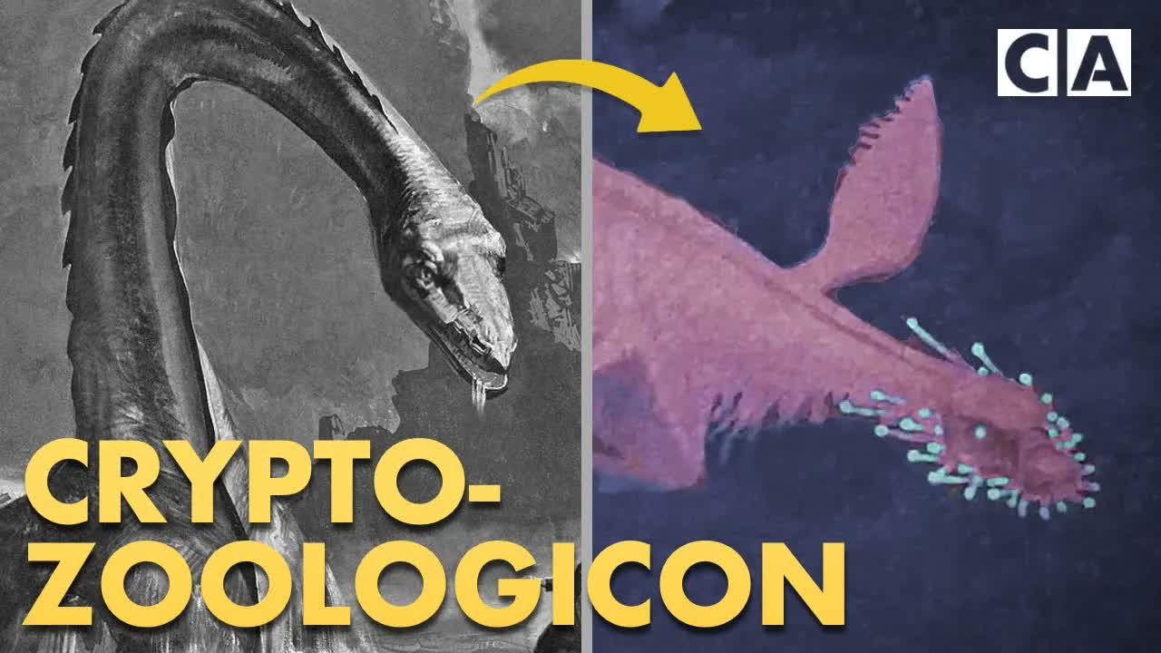 What cryptids would look like in the real world