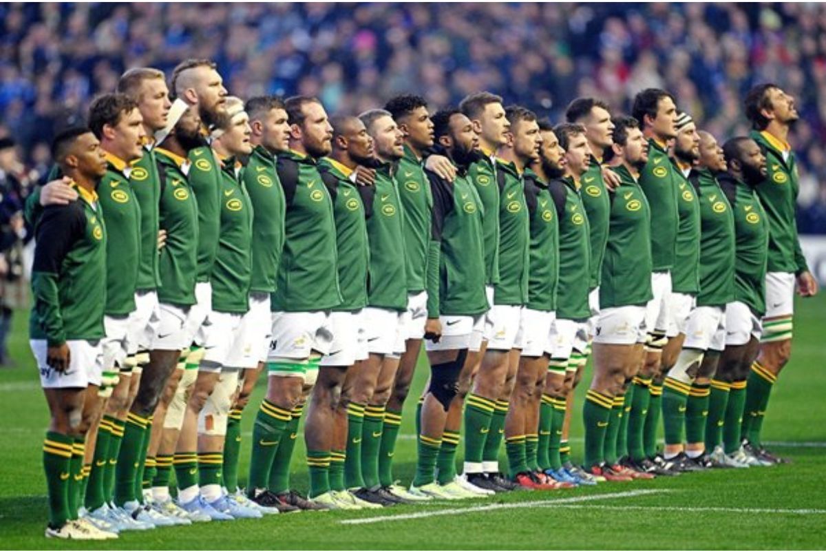 Springbok test tickets: When, where and how to buy them!