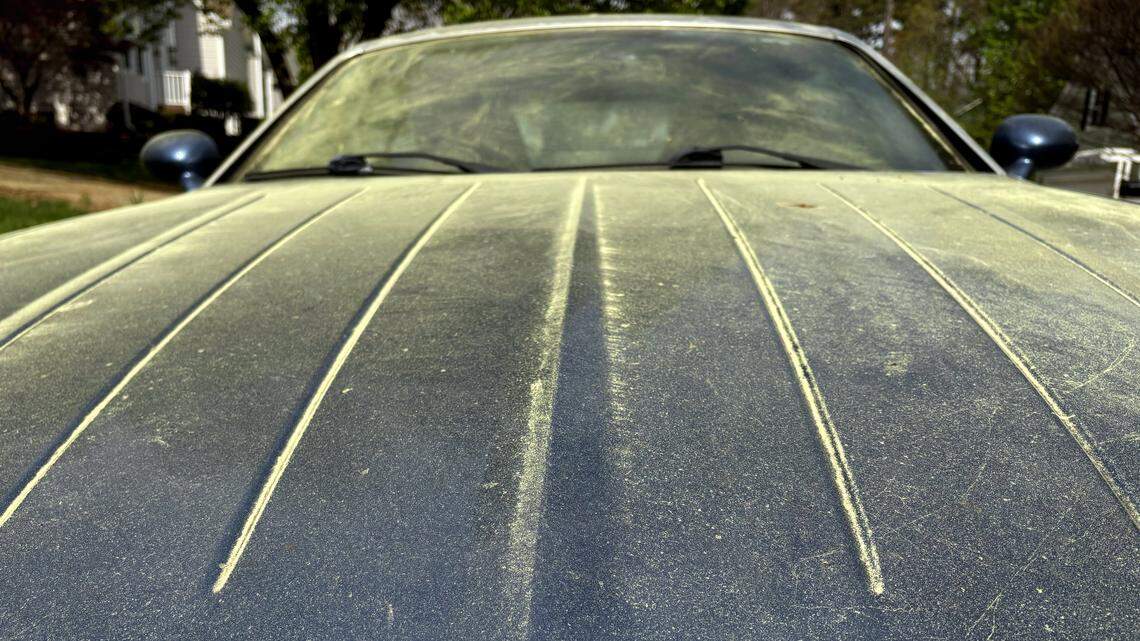 Pollen in SC will likely get worse before it gets better. Here's what's ...