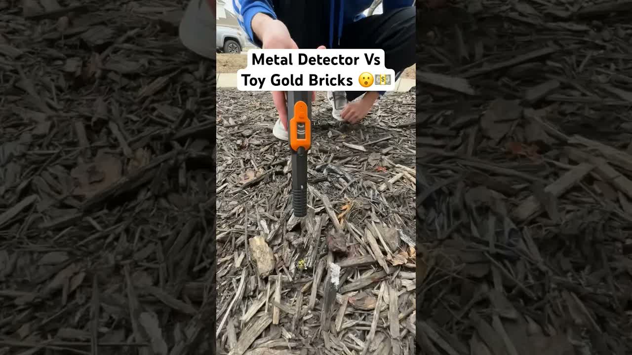 Metal detecting inside Walmart — does it work?