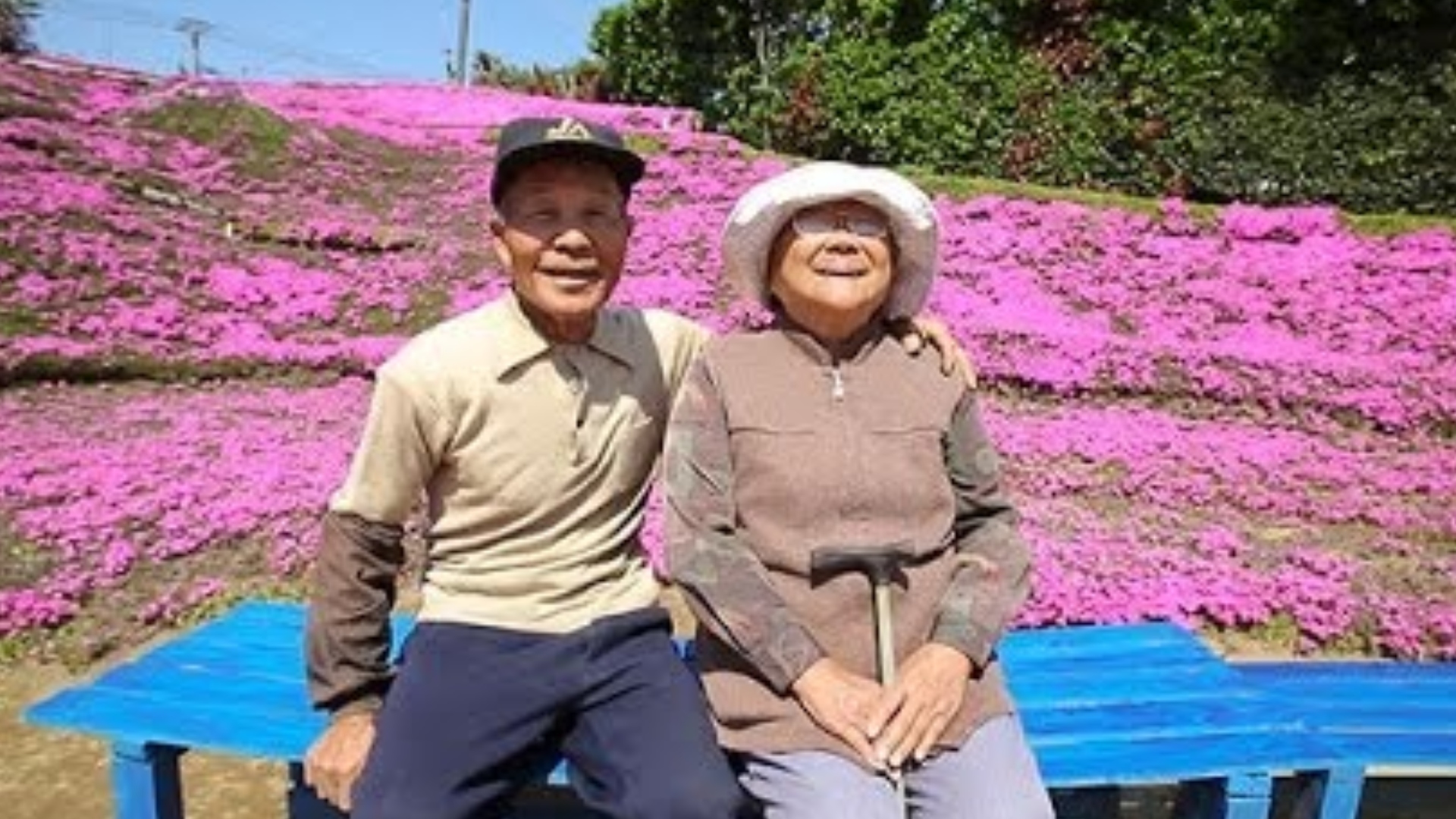 His wife is losing her sight; he imagines a project that is as simple ...