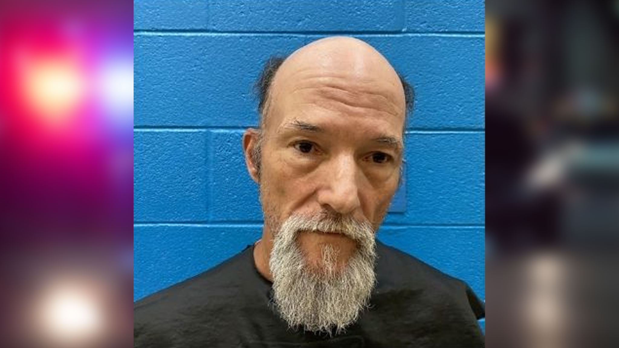 Deputies: 16 dogs, child and special needs adults found living in ...