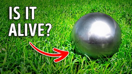 How the Betz family fooled everyone with their sphere