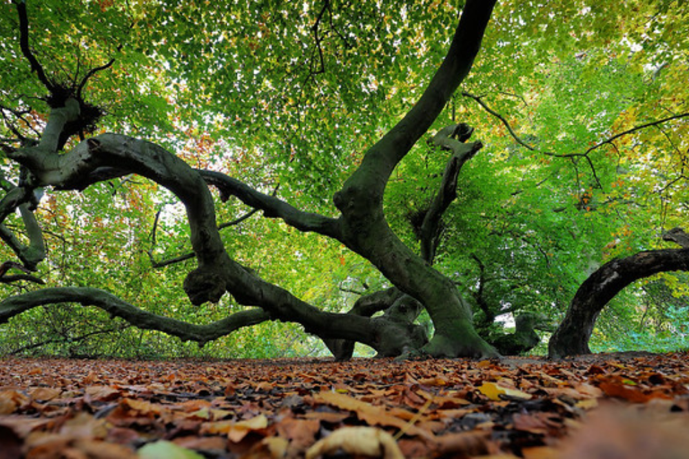 20 real-life places that inspired famous books and novels