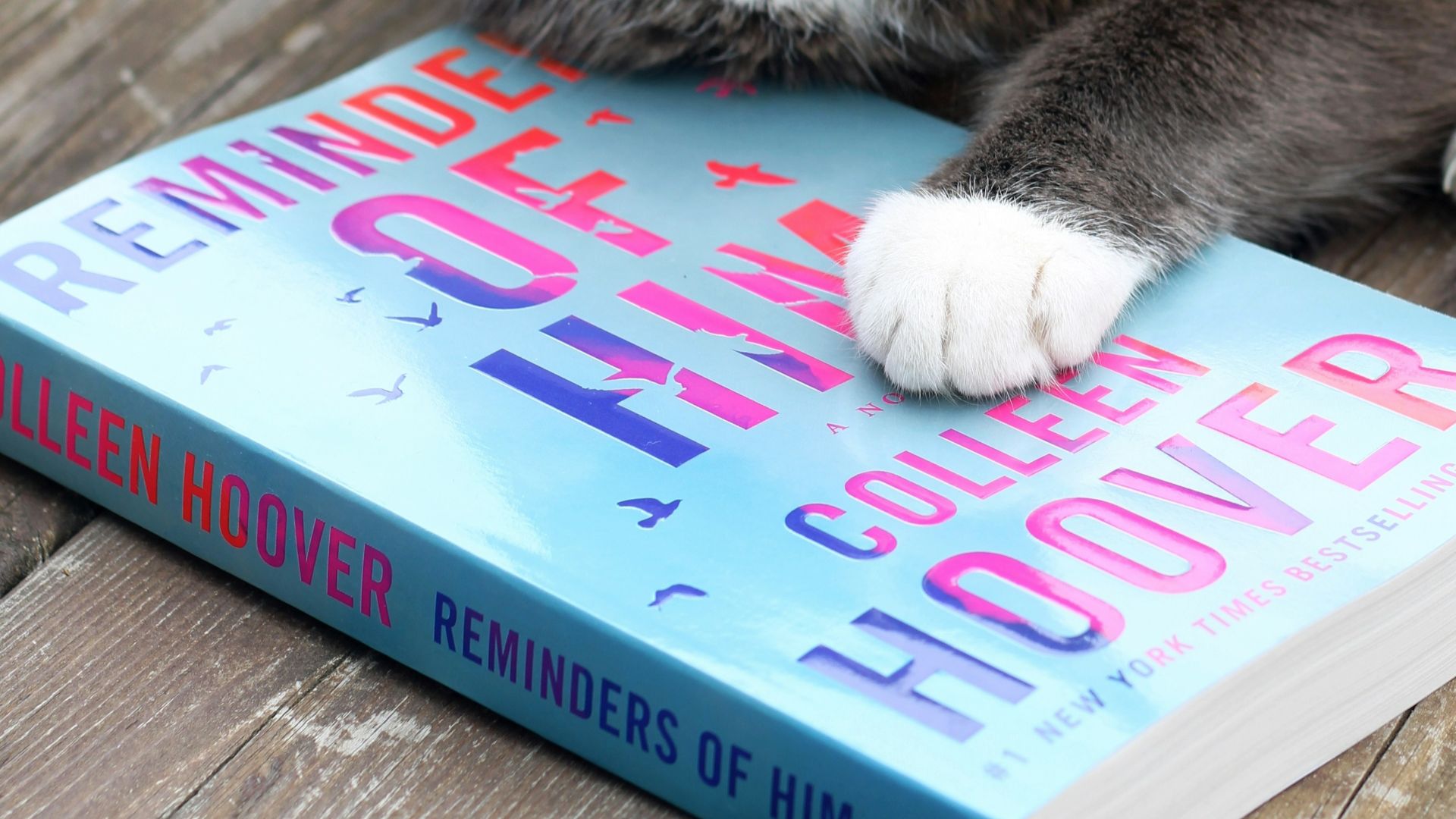 20 hobbies everyone judges you for