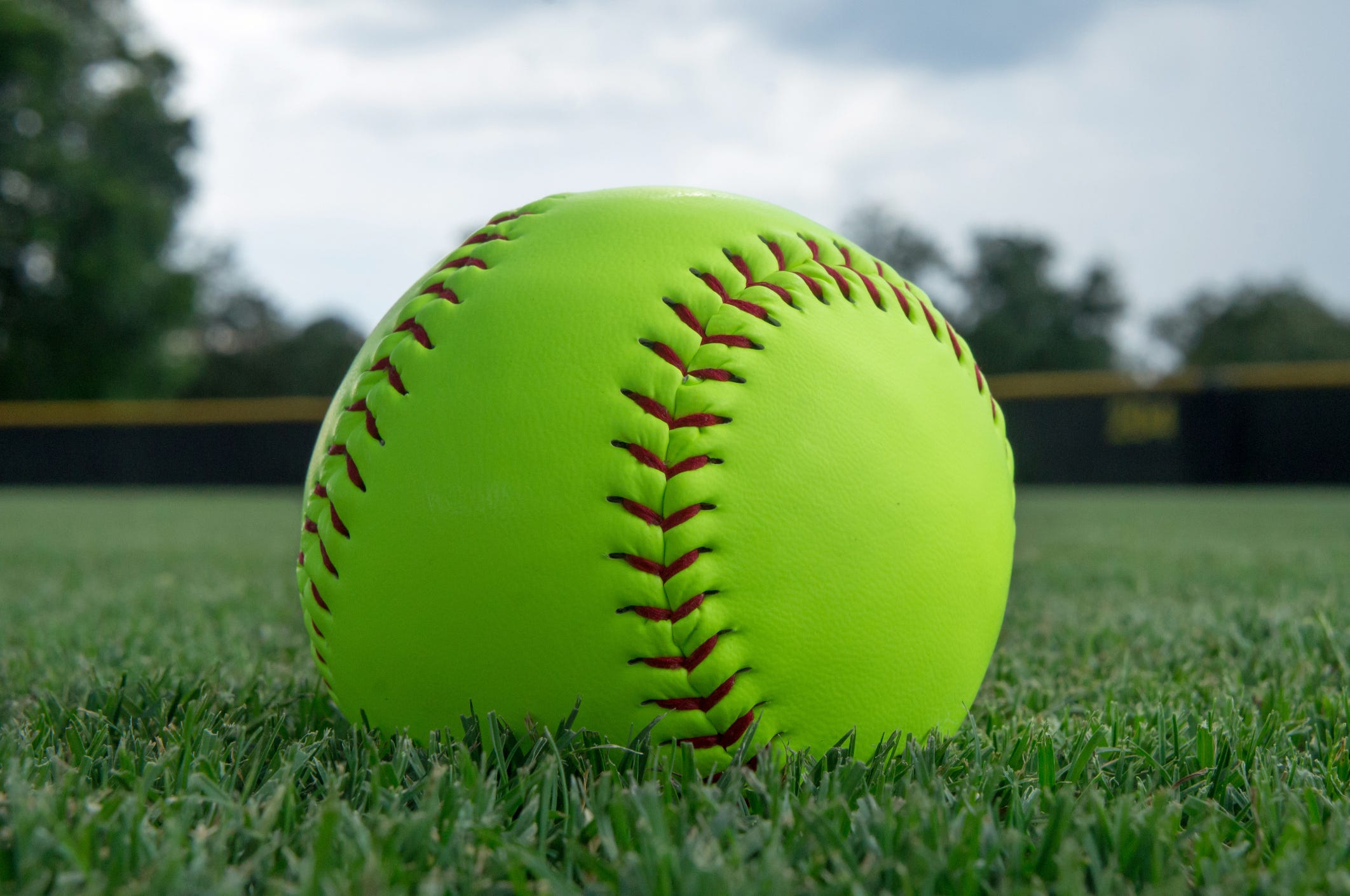 Section V softball scores for 2026 season