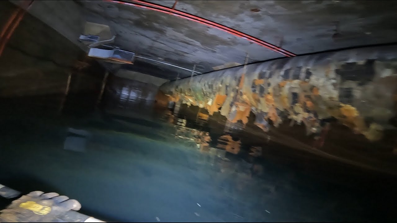 They found a flooded nuclear lab in the woods - then the rats started ...
