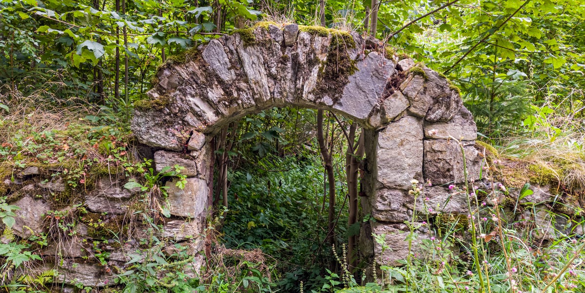 Archaeologists discovered a lost 700-year-old city. Its origins are ...