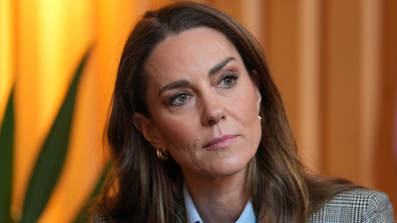 Kate Middleton's alcohol reveal spurs another public fight over her ...
