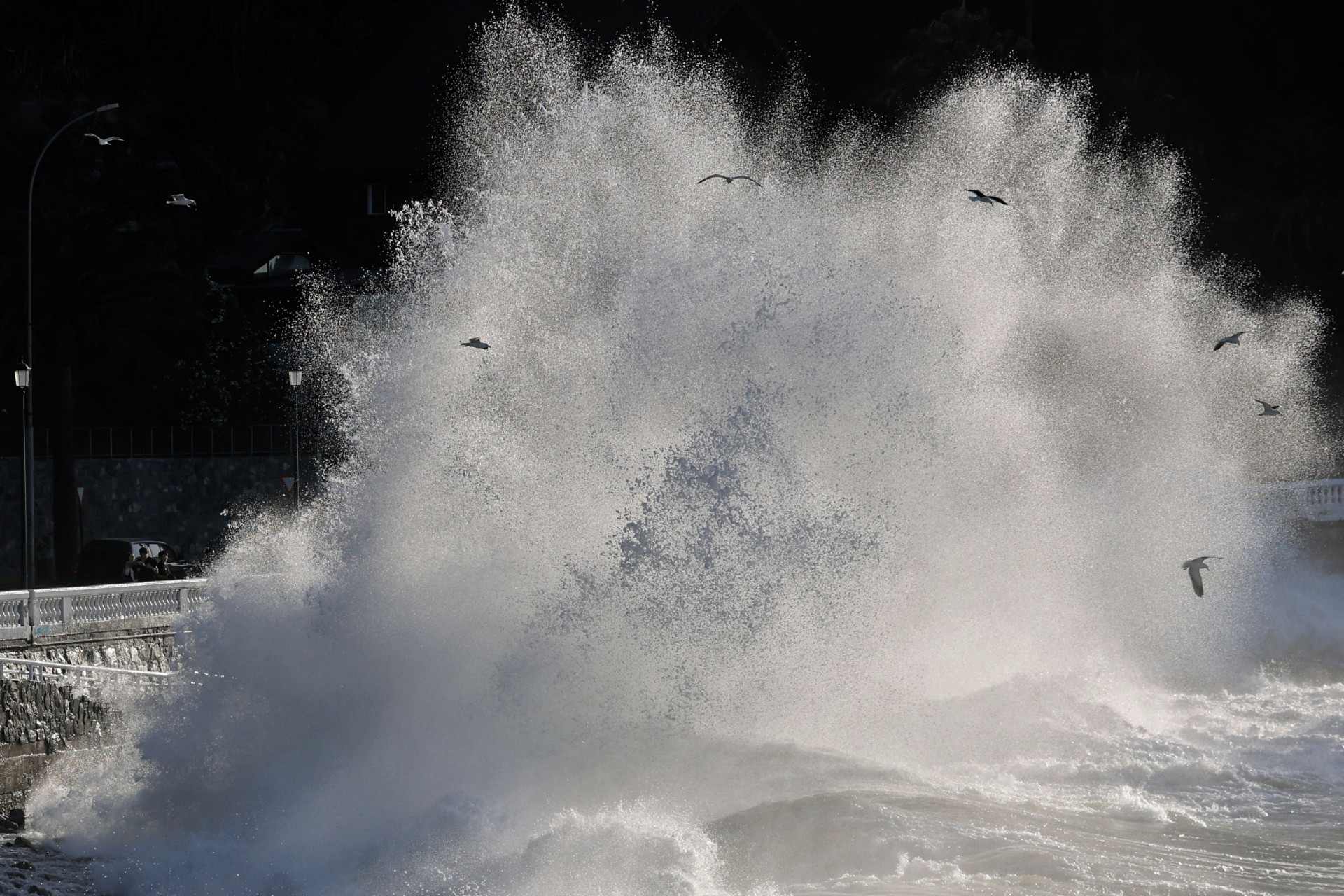 Experts say tsunami in Europe is 100% certain
