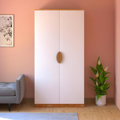 Keep your space organised and clutter-free with these almirahs for home ...