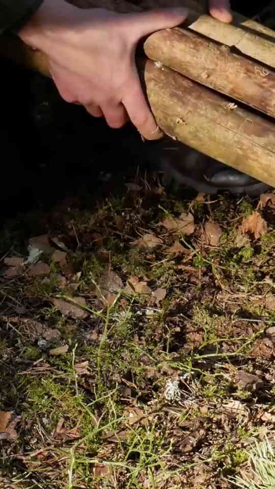 What happened after I built a shelter under a fallen tree for 3 days