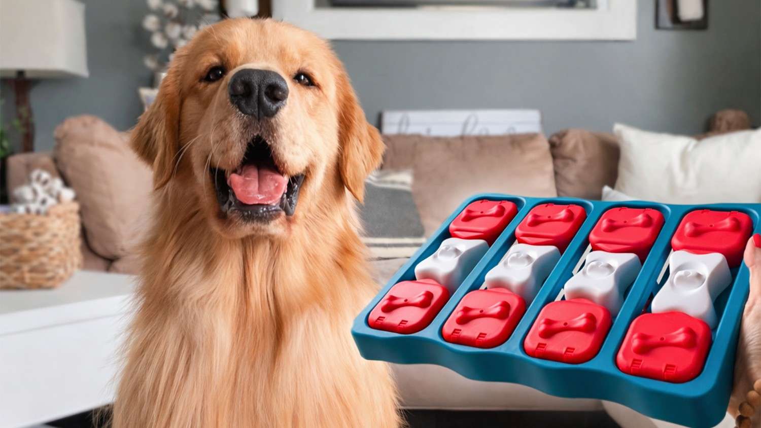 Is this brain game easy for my dog?