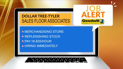 Job alert: Dollar Tree in Tyler needs sales floor associates