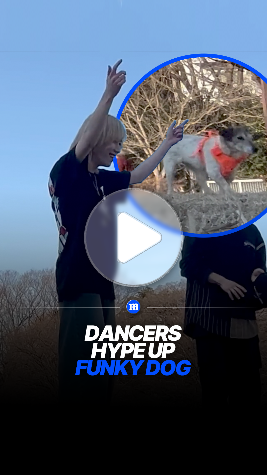 Dance crew hypes up elderly dog with its funky walk