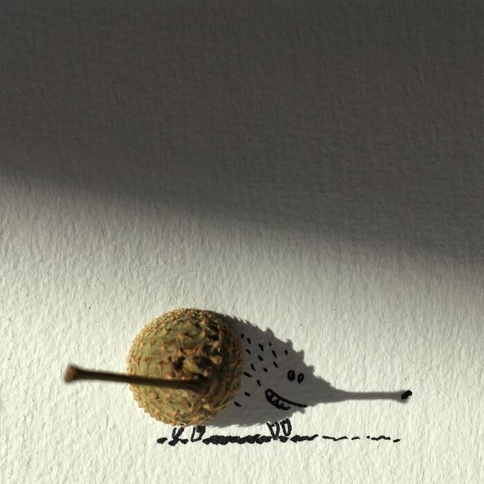 22 pics of shadows stealing the spotlight and creating illustrations