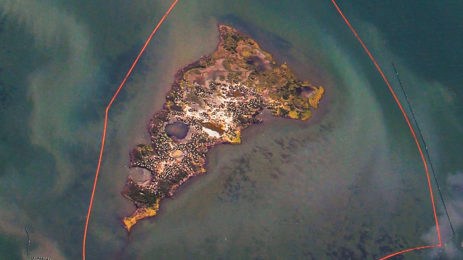 Researcher discovers underwater city off coast of Louisiana