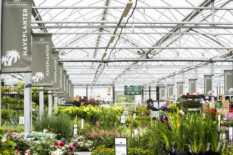 Plantorama vender minus til plus i 2025-regnskab