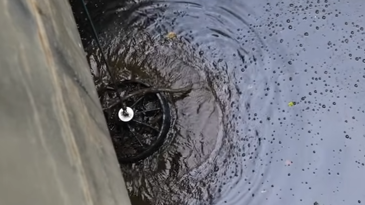 This historic swamp was full of old tools - then things got strange