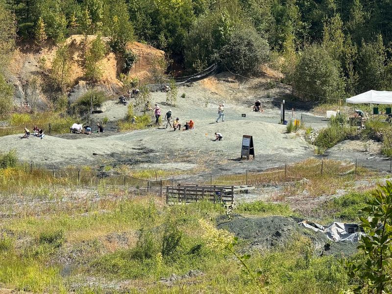 This massive New Jersey fossil park lets you dig for 66-million-year ...
