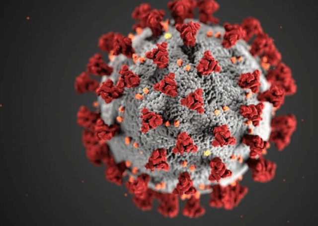 Covid variant 2026: A 'super variant' of coronavirus has arrived. Will ...