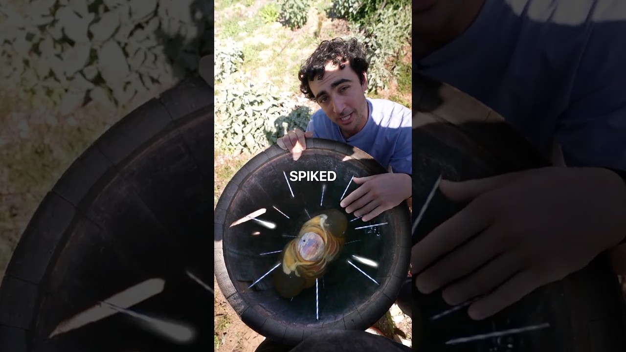 Testing impact against a spiked barrel