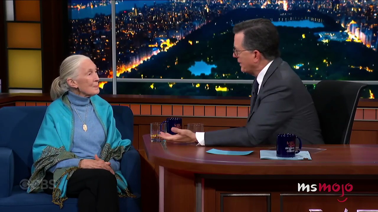 10 celebrities' final messages to the world before dying