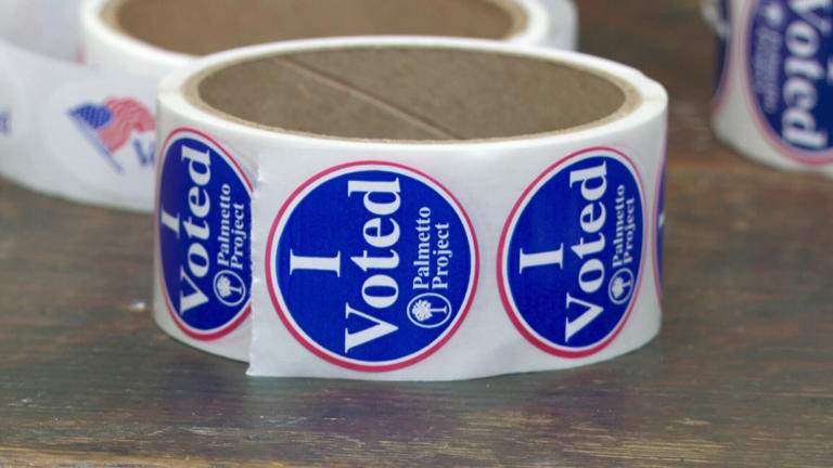 What to know about runoff elections in South Carolina