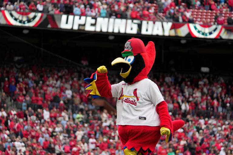 Cardinals announce 2026 opening day roster