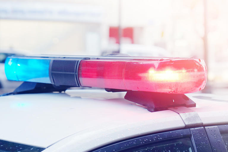 Grosse Ile police investigate sexual assault of a minor
