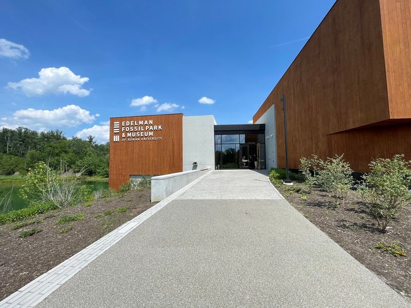 This massive New Jersey fossil park lets you dig for 66-million-year ...