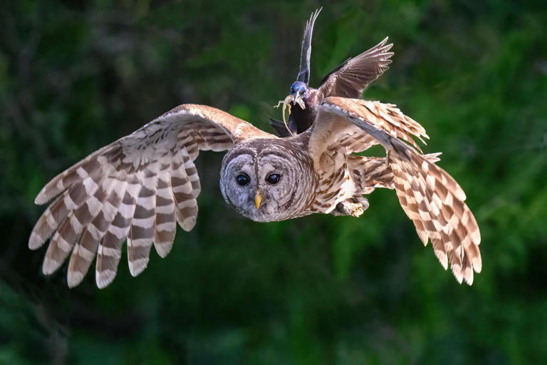 Prestigious photography show opens Sunday at historic Bucks Co. mill