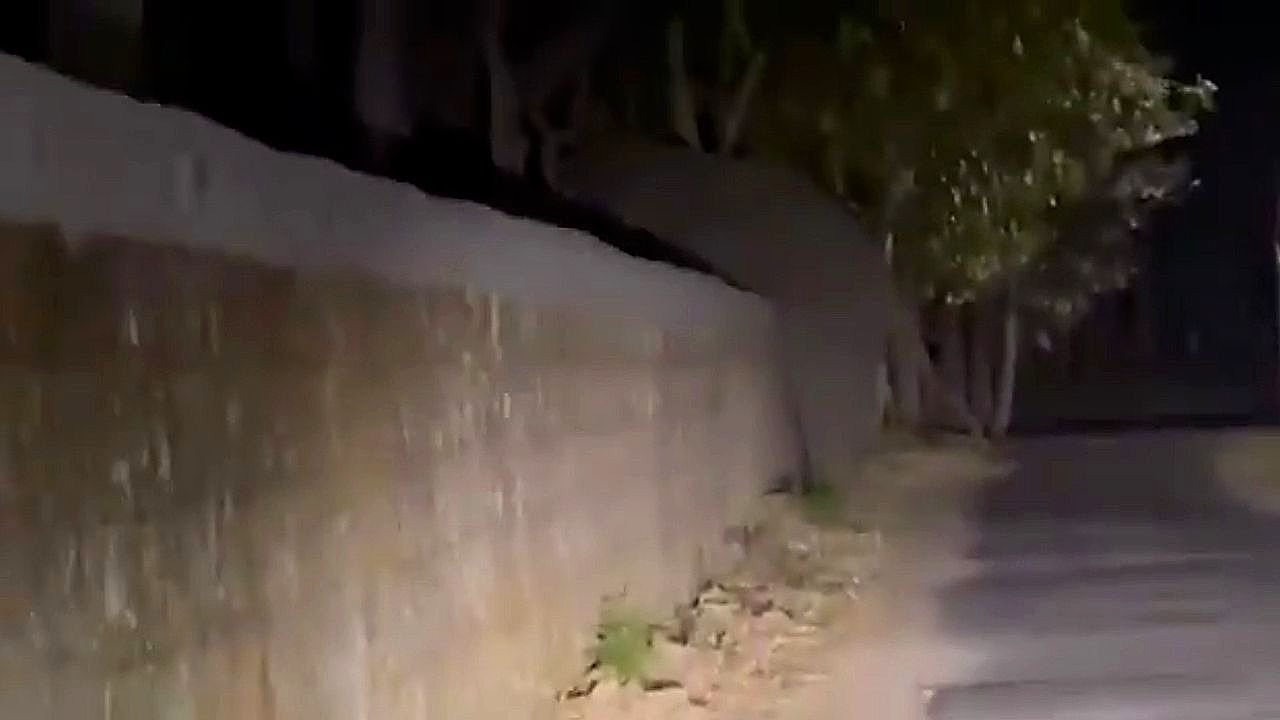 No obstacles! An elephant jumps over a safety fence in India