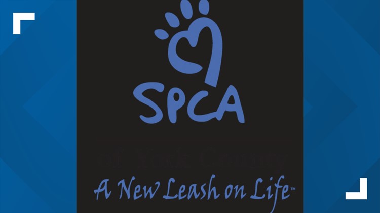 York County SPCA hires new Humane Society police officer