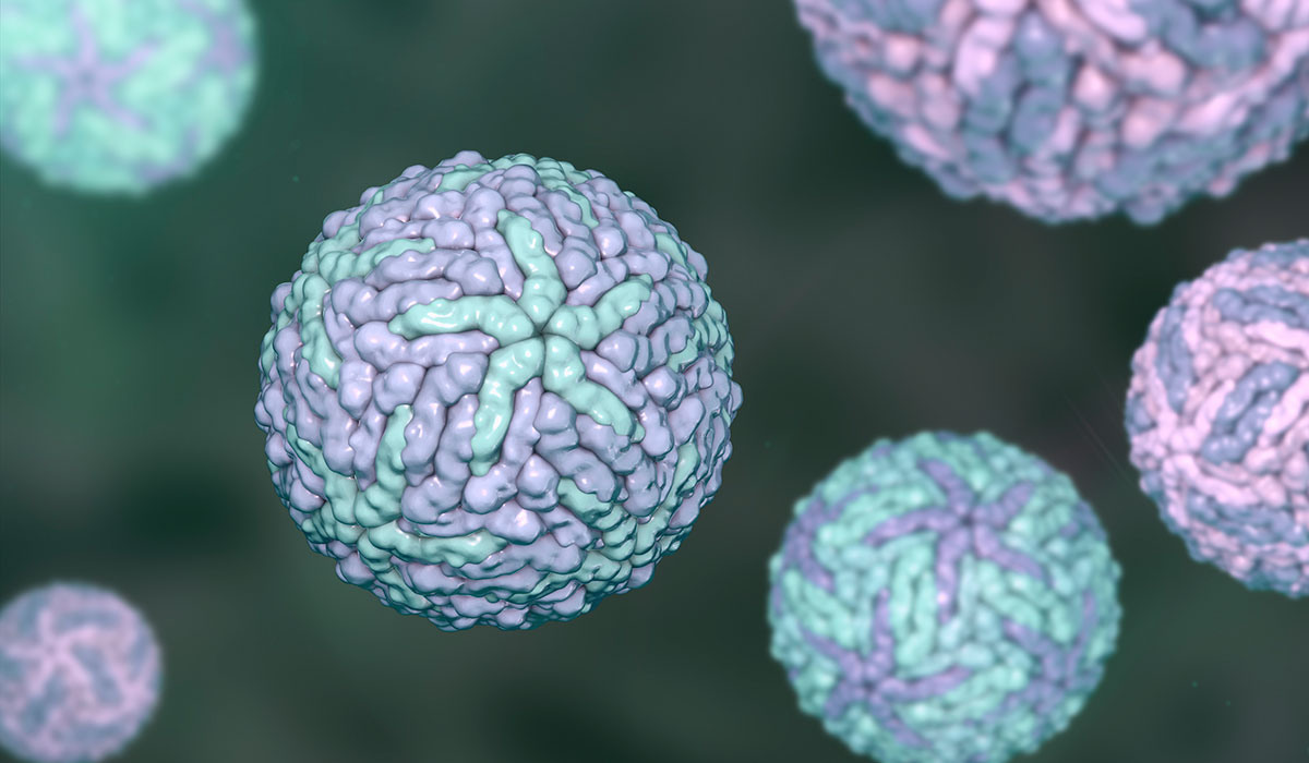 CDC issues urgent warning as brain-bleeding virus hits Americas