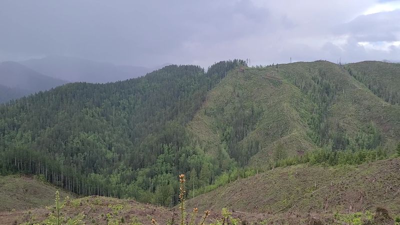 This Oregon adventure area is an off-road playground hiding in the hills
