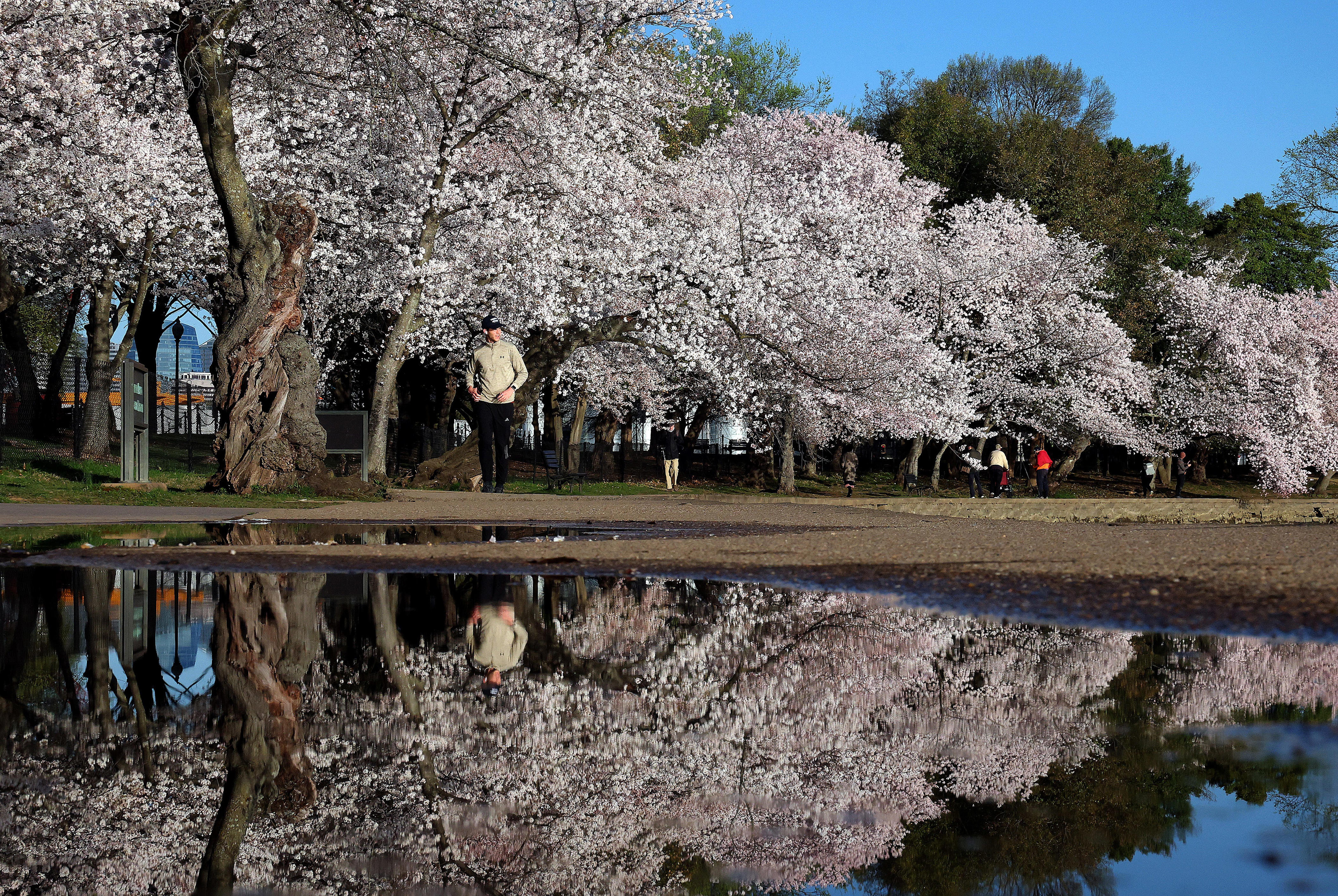 Washington DC weather: What can you expect after Sunday's rain?