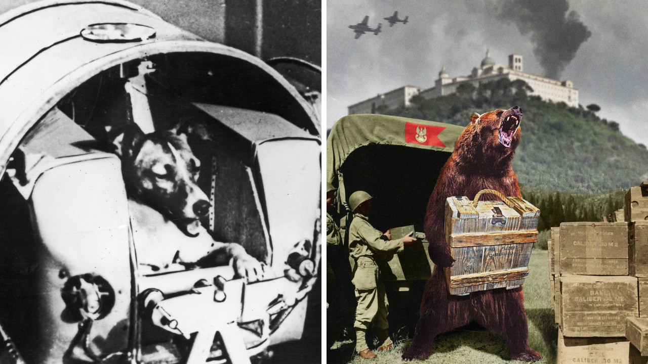 30 real animals that influenced major historical events