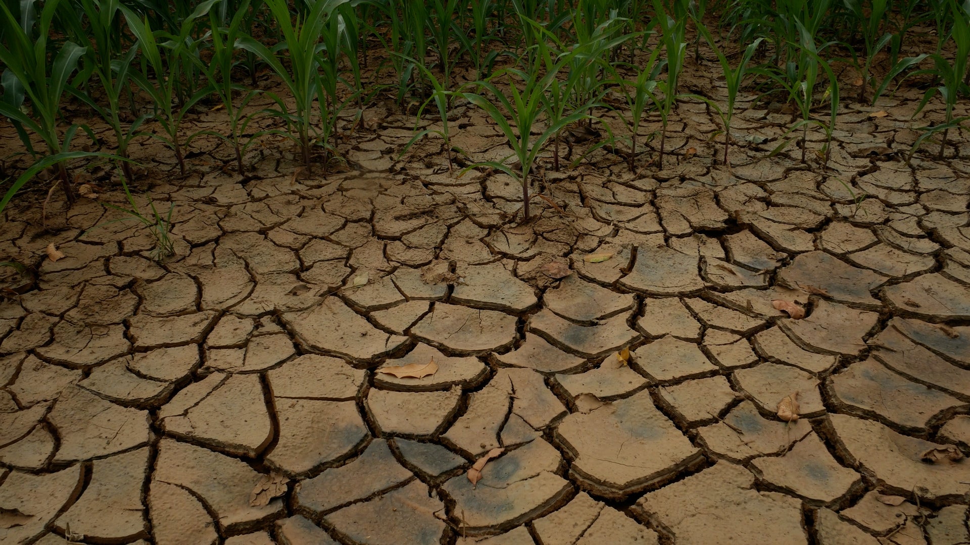 Climate change pushing our world into uncharted territory