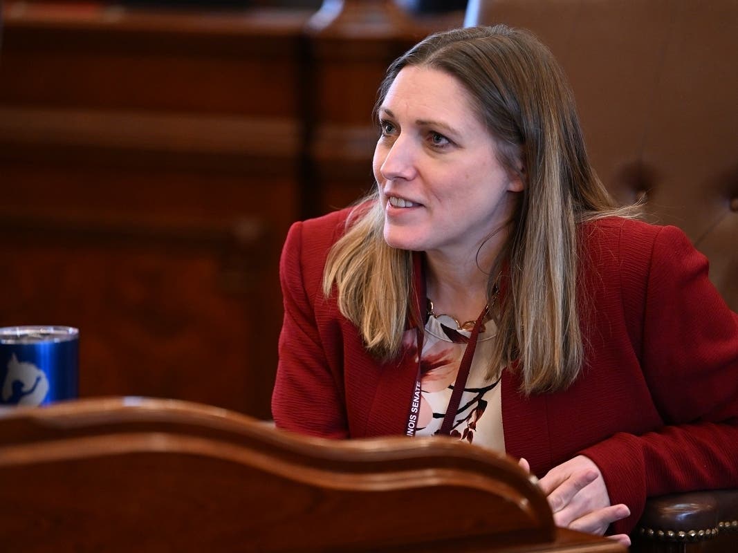 Jane Goodall Day in Illinois: Senator Rachel Ventura: Her lifelong ...